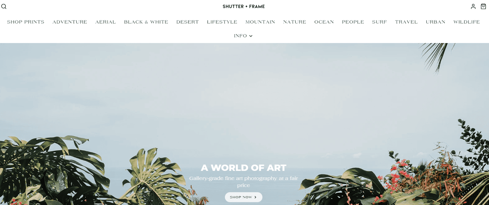 Top 7 Shopify Themes for Production Houses in 2024